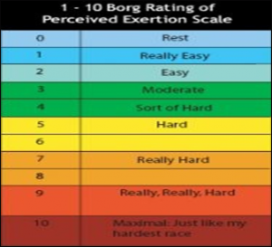 Assessment of Dyspnoea in COVID 19 Patients Using Modified Borg Scale ...